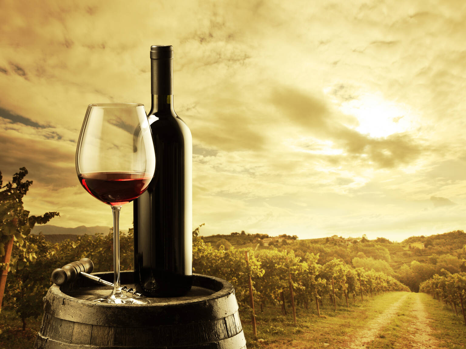 The best Israeli wine and wineries from the north to the south