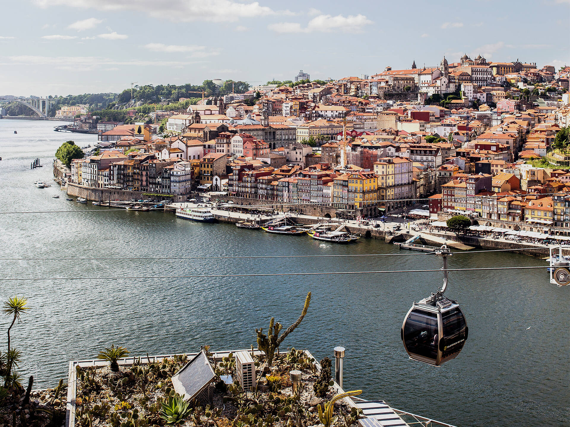 The 12 Best Porto Tours | A guide to tours of Porto for 2025