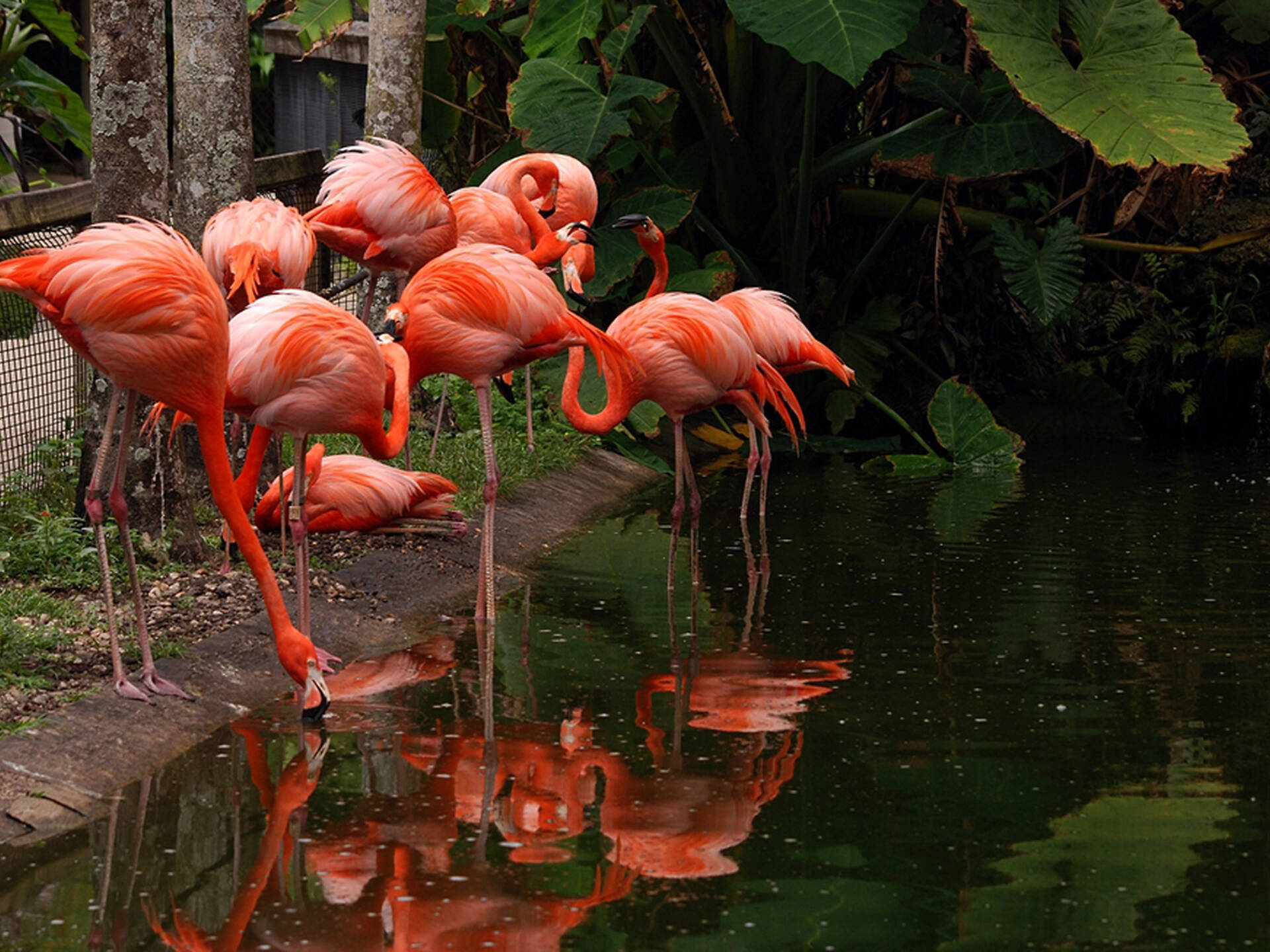 6 Best Wildlife Sanctuaries in Miami and South Florida