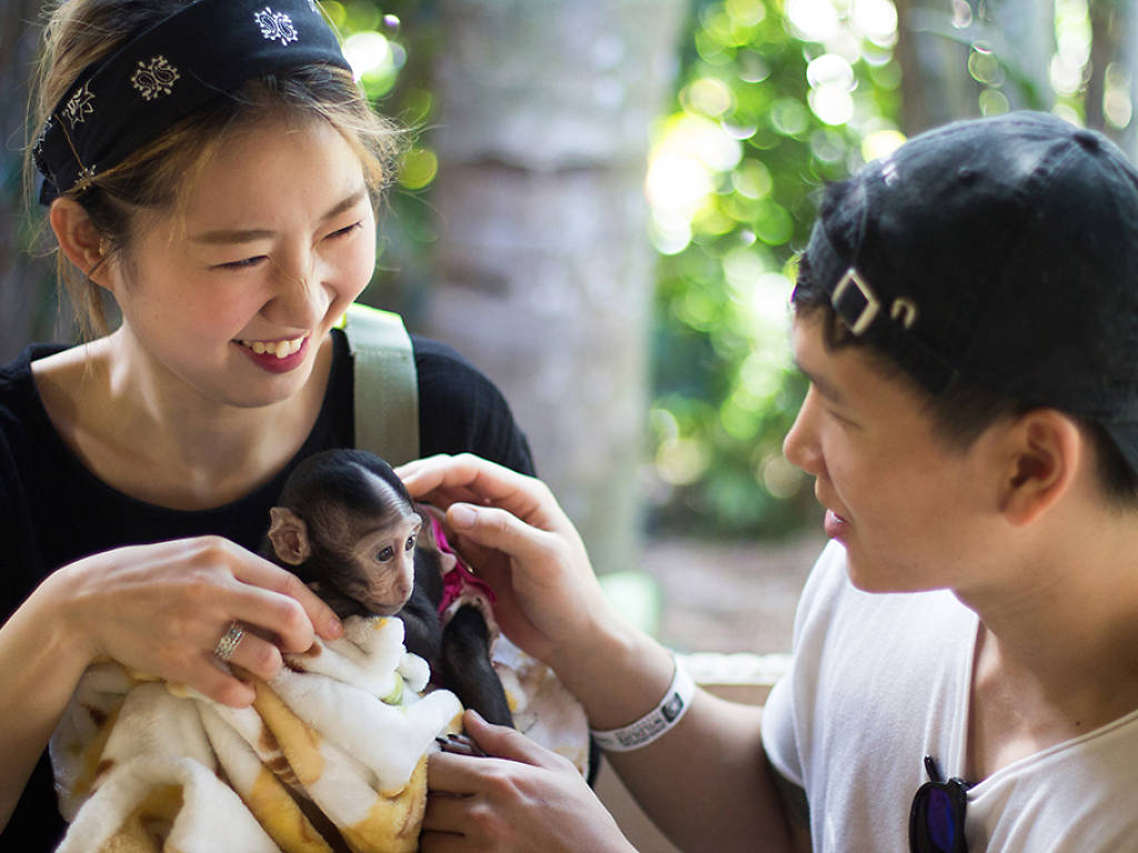 6 Best Wildlife Sanctuaries in Miami and South Florida