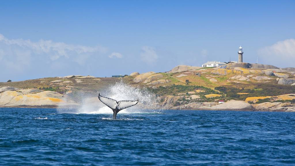 A guide to Narooma
