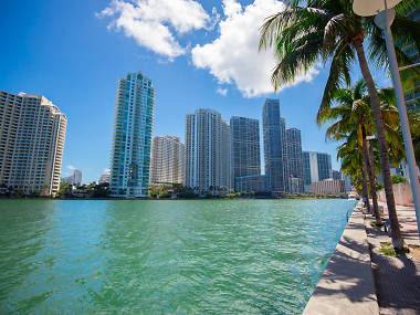 Brickell, Miami, Neighborhood Guide: What to See, Eat & Do