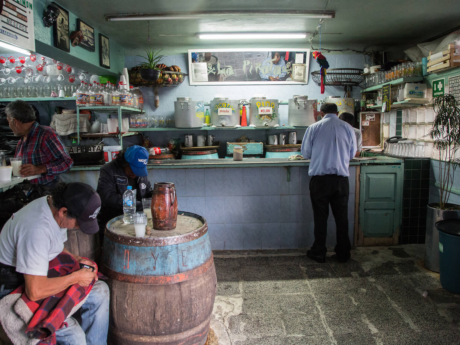 Guía de la Escandón