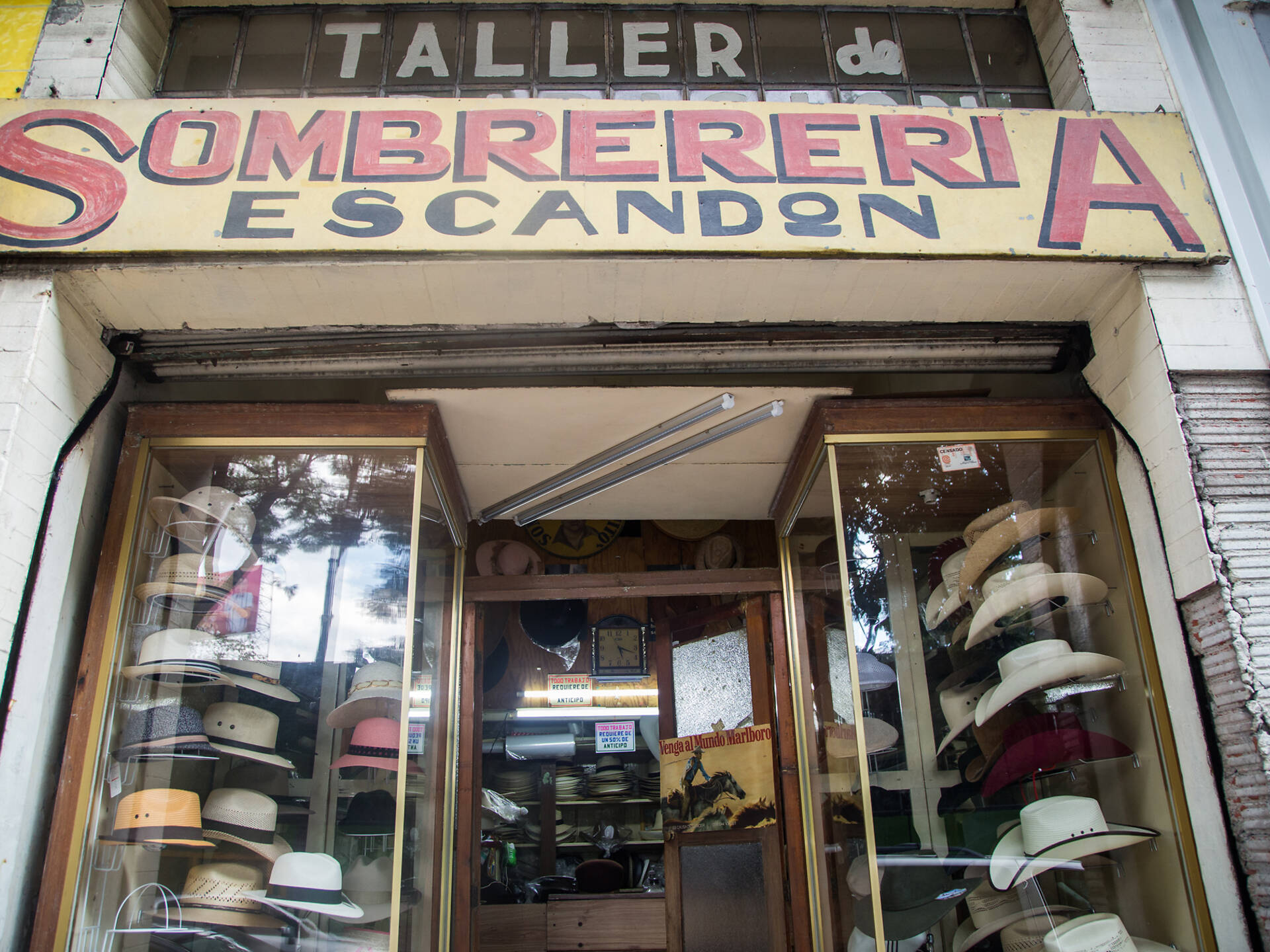 Guía de la Escandón