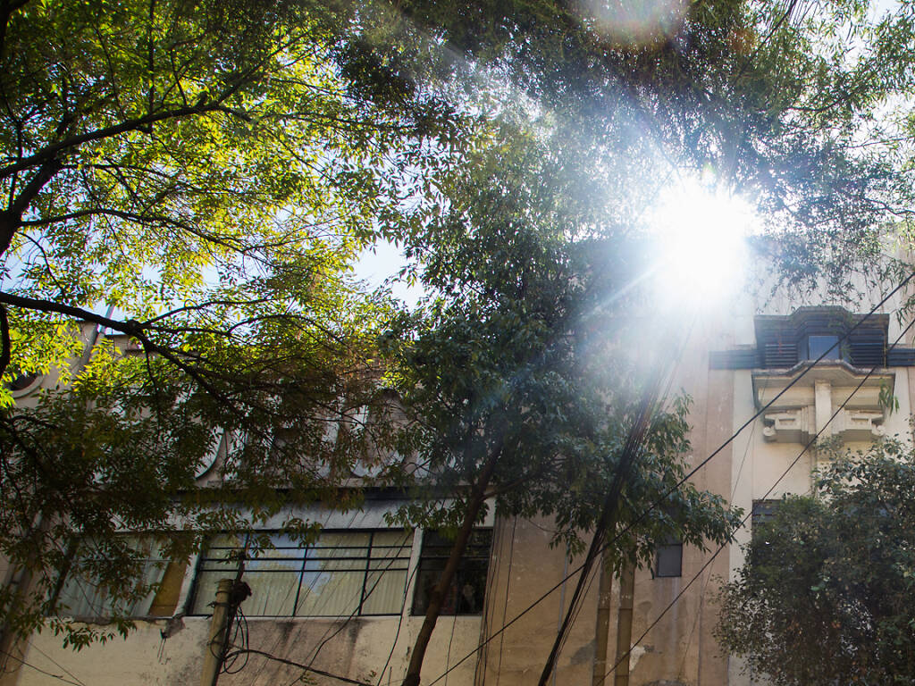 Guía de la Escandón