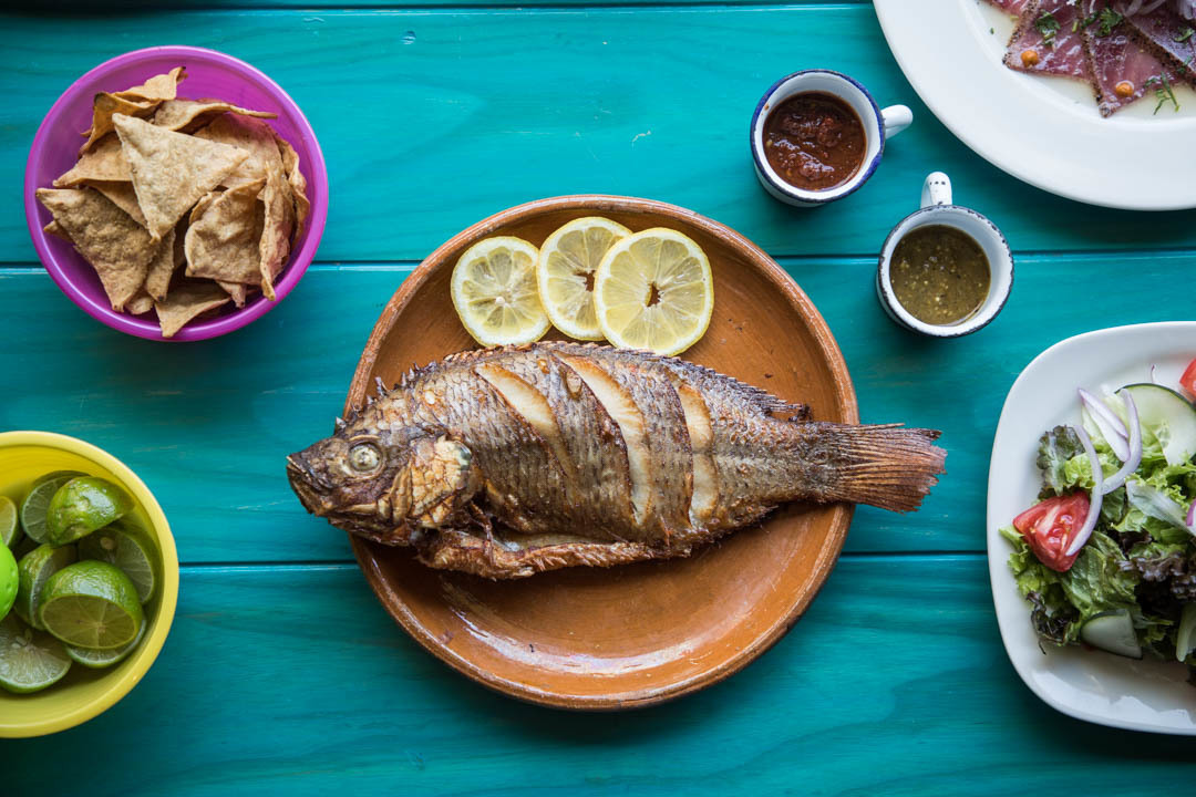 |Presentado por Bohemia| Cerveza clara y mariscos, la mejor combinación
