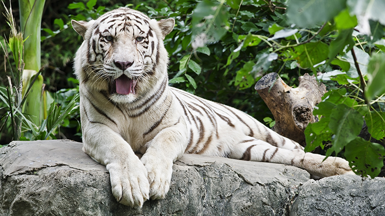 Haifa Educational Zoo | Attractions in Hadar-Carmel‏, Israel