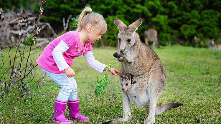 GanGaroo Australian Park | Attractions in Israel