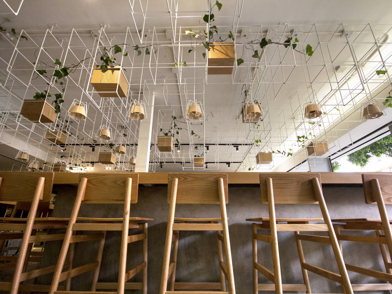 10 lugares imprescindibles de la San Miguel Chapultepec