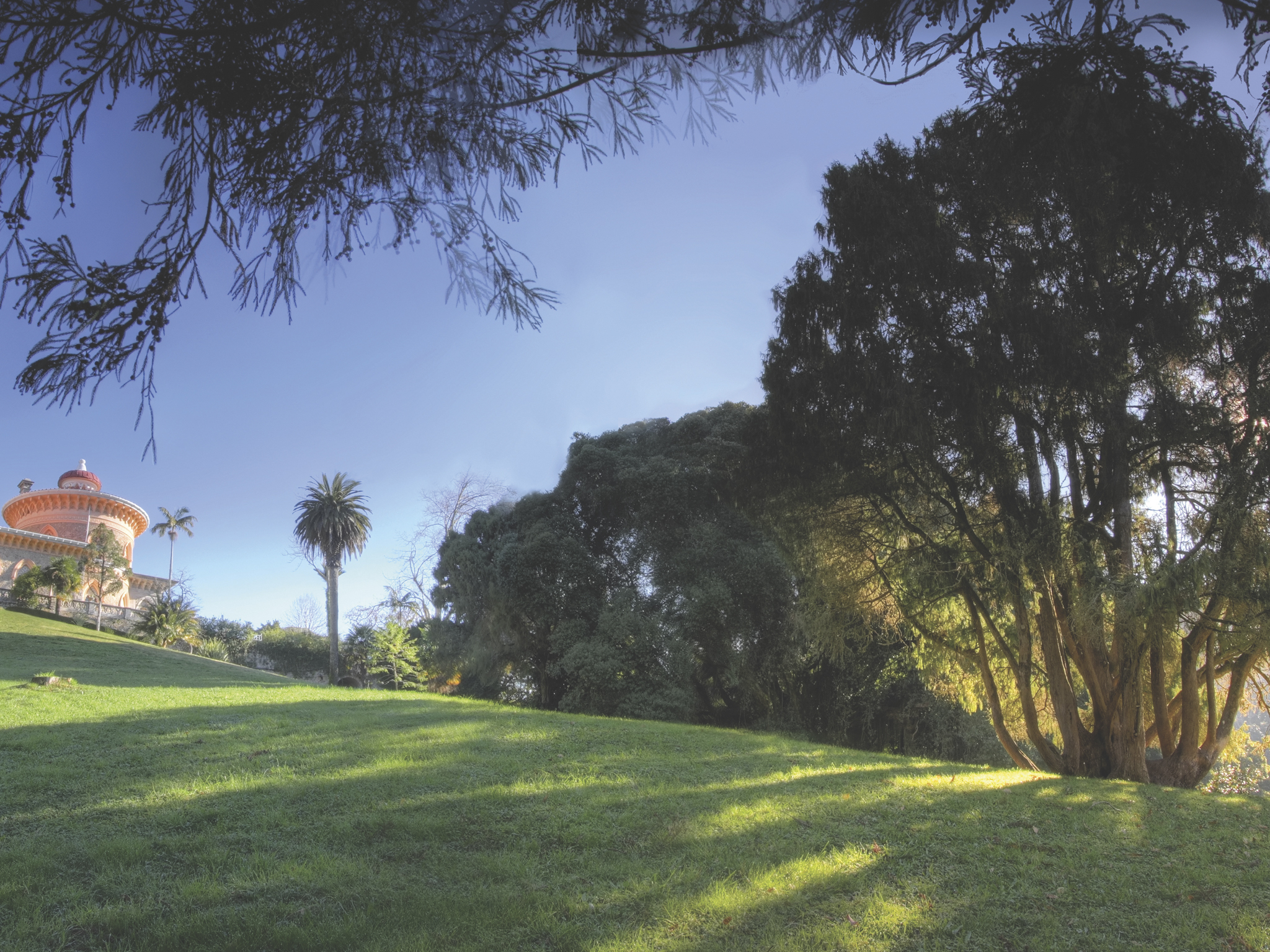 Parque e Palácio de Monserrate | Atracções | Sintra, Lisboa