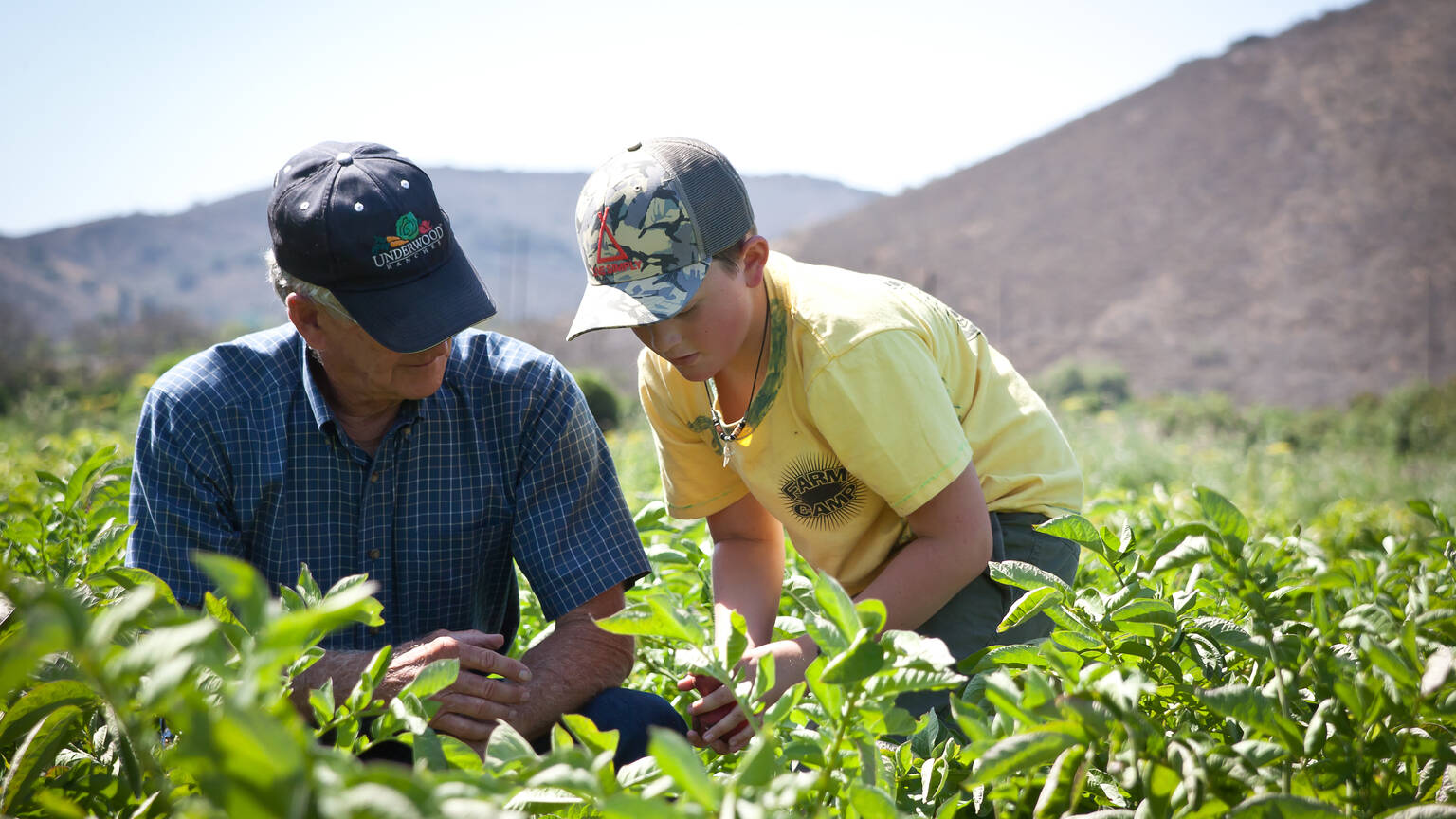Family-Friendly Farms Near L.A. to Go Pick Fruit