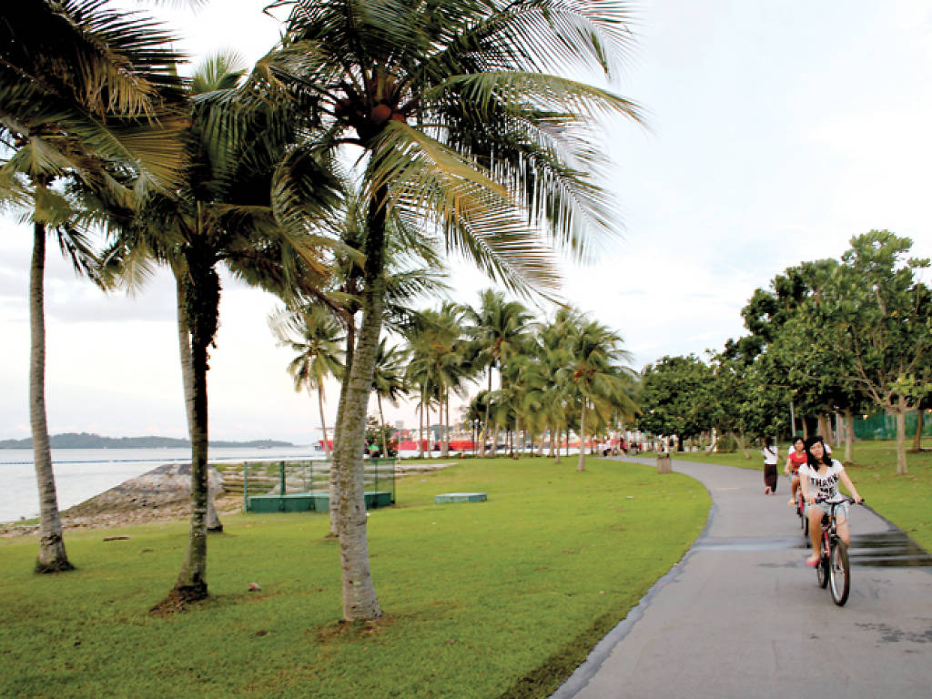 Hiking in Singapore: 18 Amazing Walking Trails For Trekkers To Try