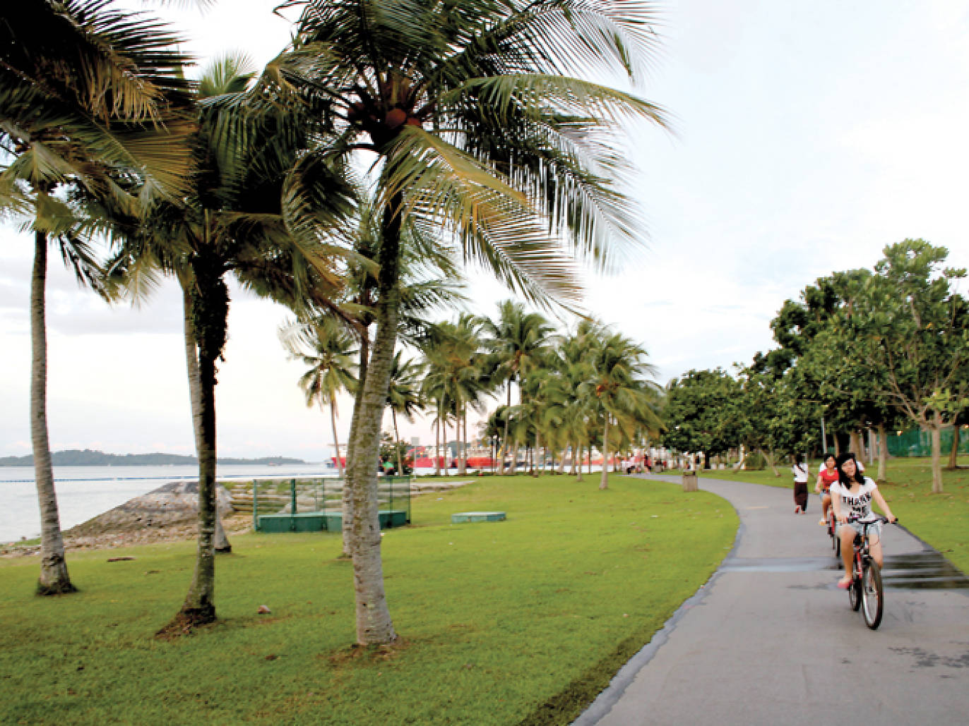 Hiking in Singapore: 18 Amazing Walking Trails For Trekkers To Try