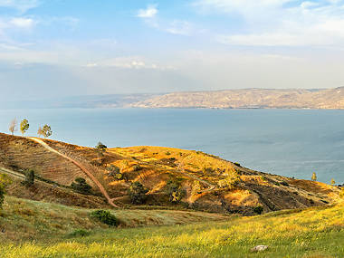 The most scenic restaurants in Israel to dine at