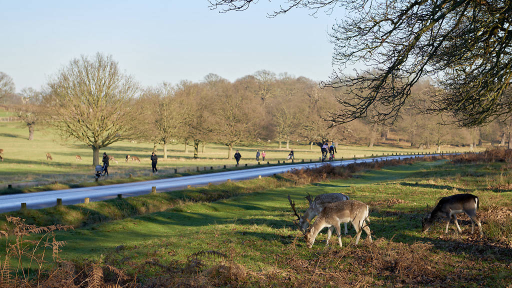 Nine Scenic Bike Rides Around London | Best London Cycle Routes