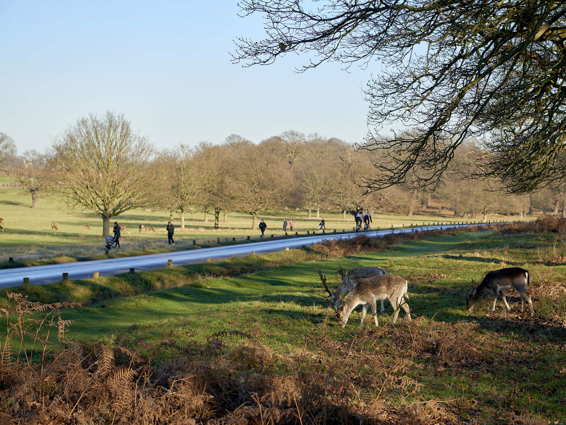 Nine Scenic Bike Rides Around London | Best London Cycle Routes