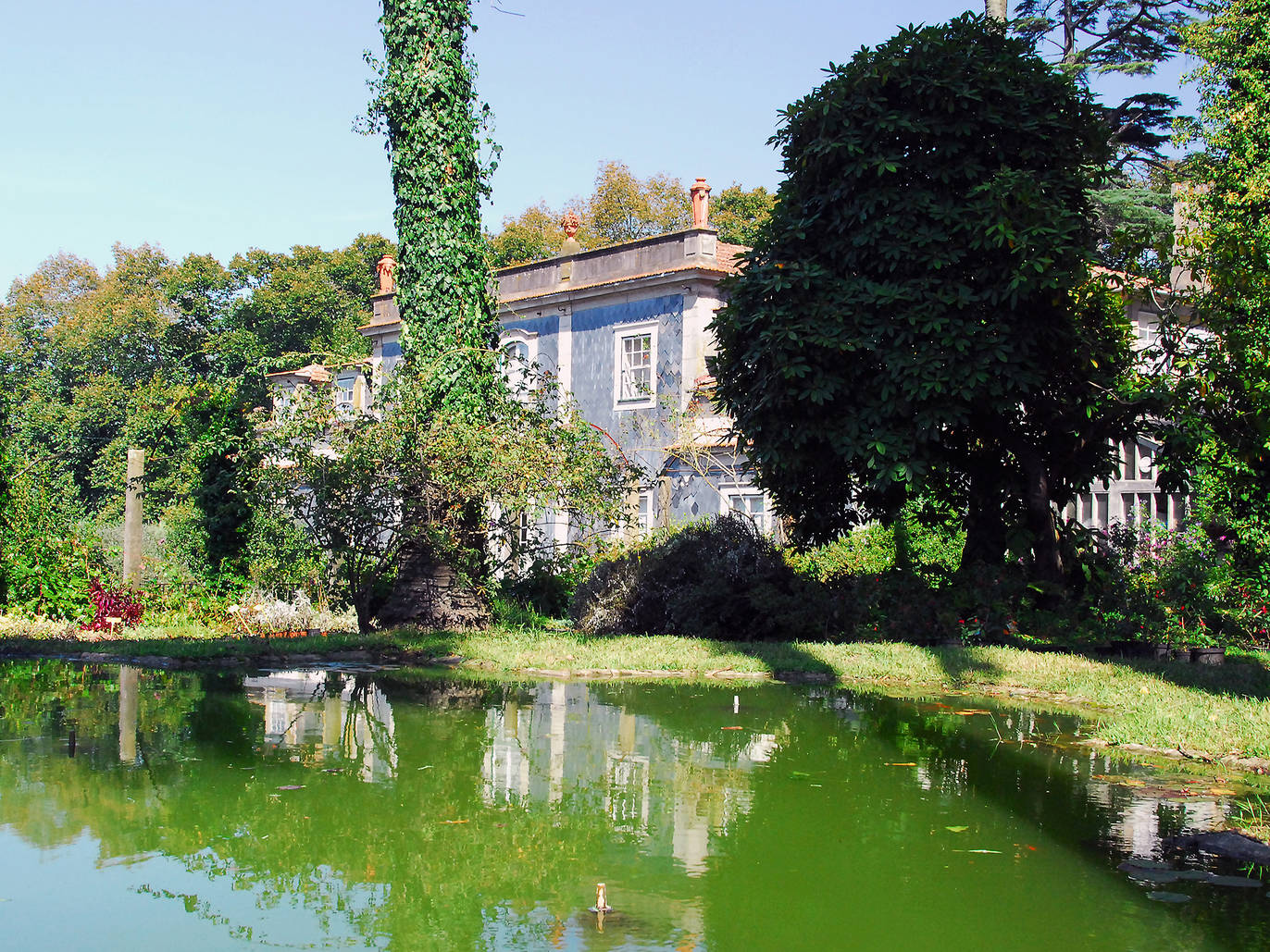 The best parks and gardens in Porto – Enjoy nature