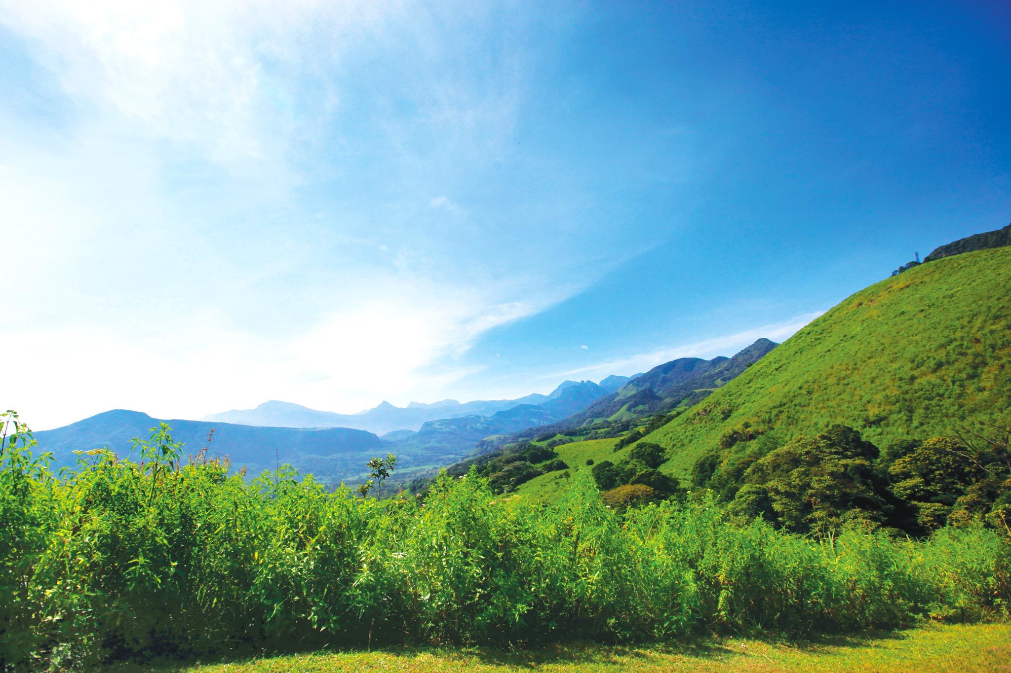 The wonders of Knuckles Range