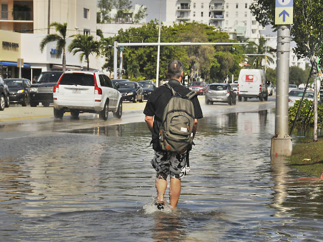 Scenes from Miami Beach flooding: paddleboarding pedestrians and ...