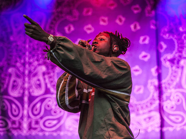 Your Guide to the Best Chicago Summer Music Festivals