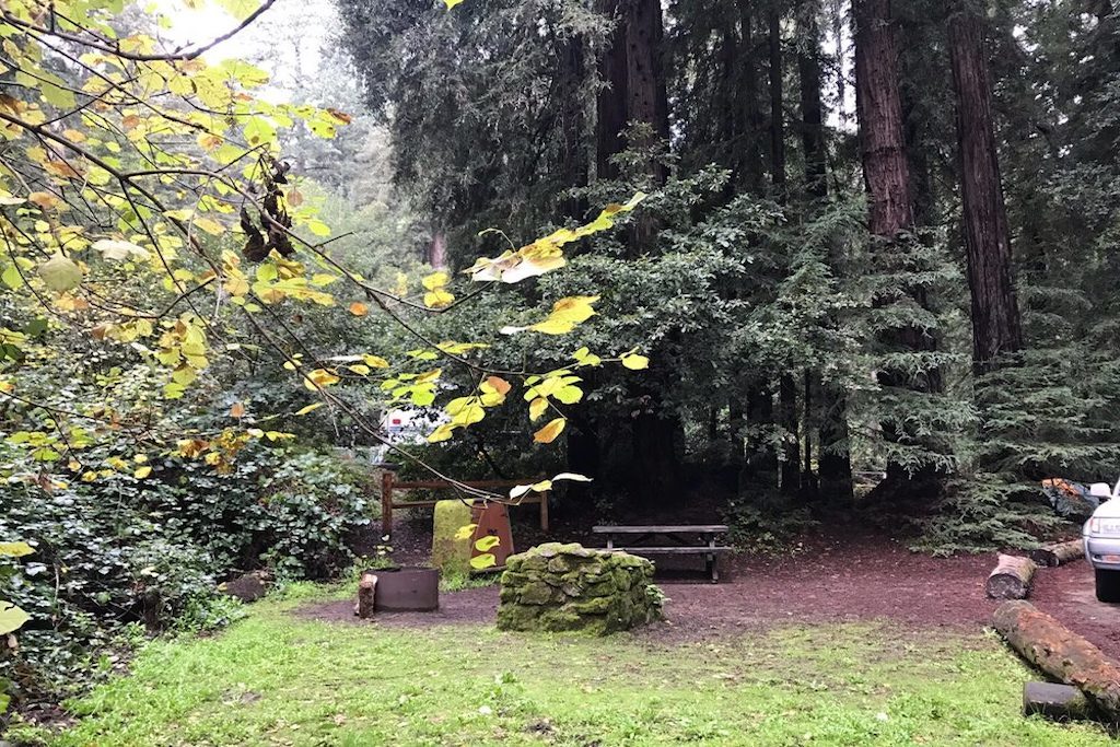 Samuel P. Taylor State Park | Things to do in San Francisco