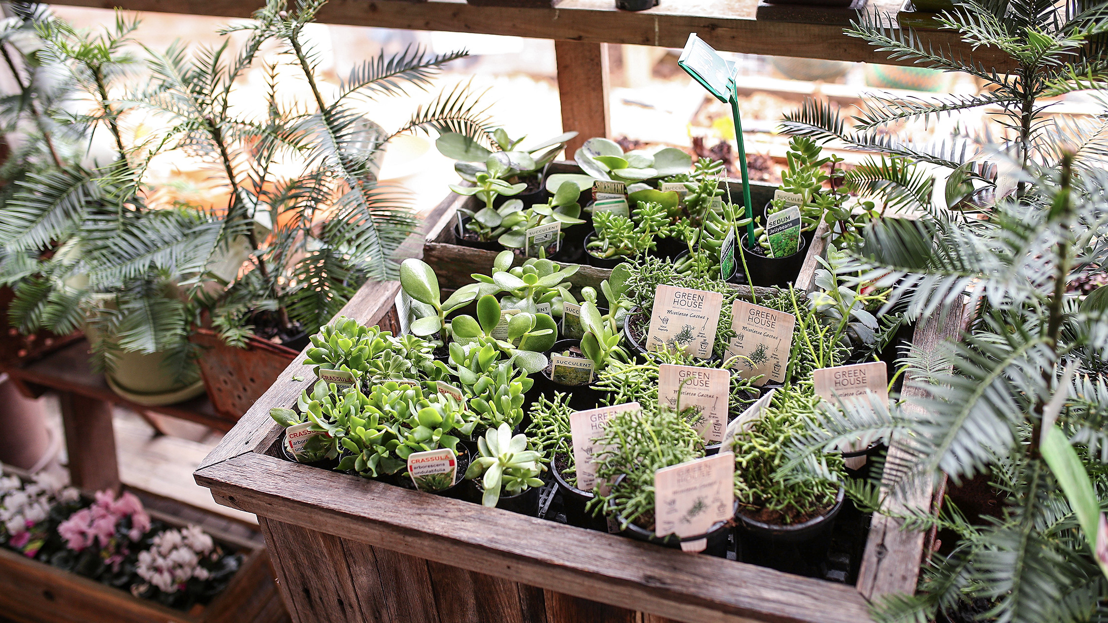 CERES Harvest Festival 2024 returns to Melbourne in March