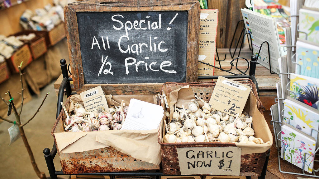 Brunswick area guide | A local's guide to Brunswick