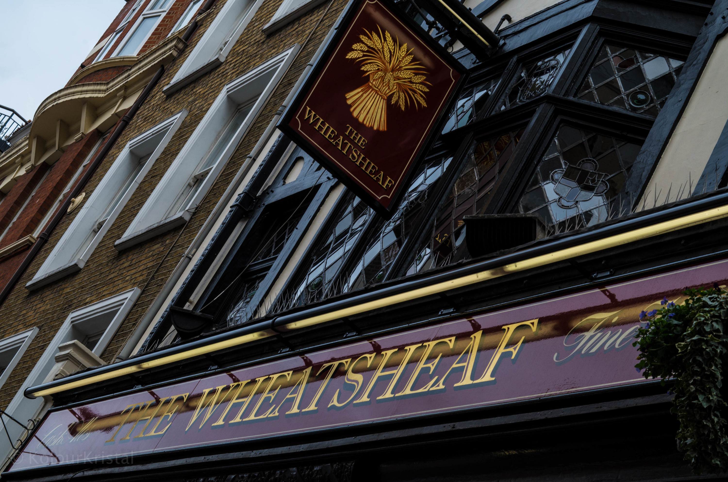 The Wheatsheaf | Bars and pubs in Fitzrovia, London