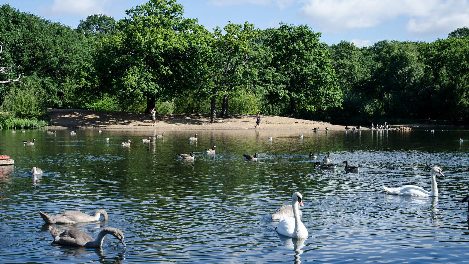 11 Places In London That Feel Like The Countryside | Rural London