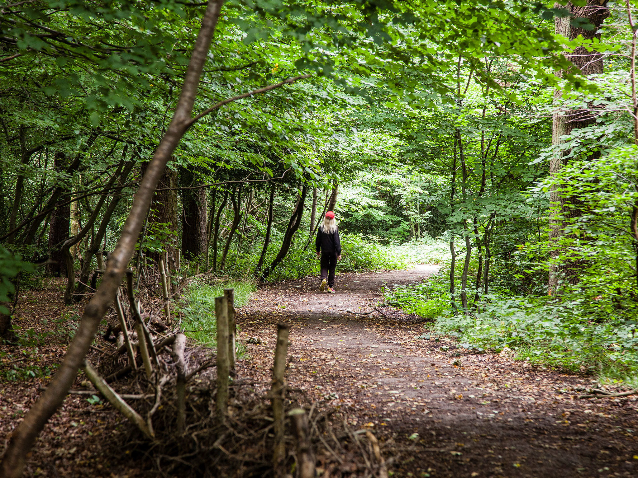 11 Places In London That Feel Like The Countryside | Rural London