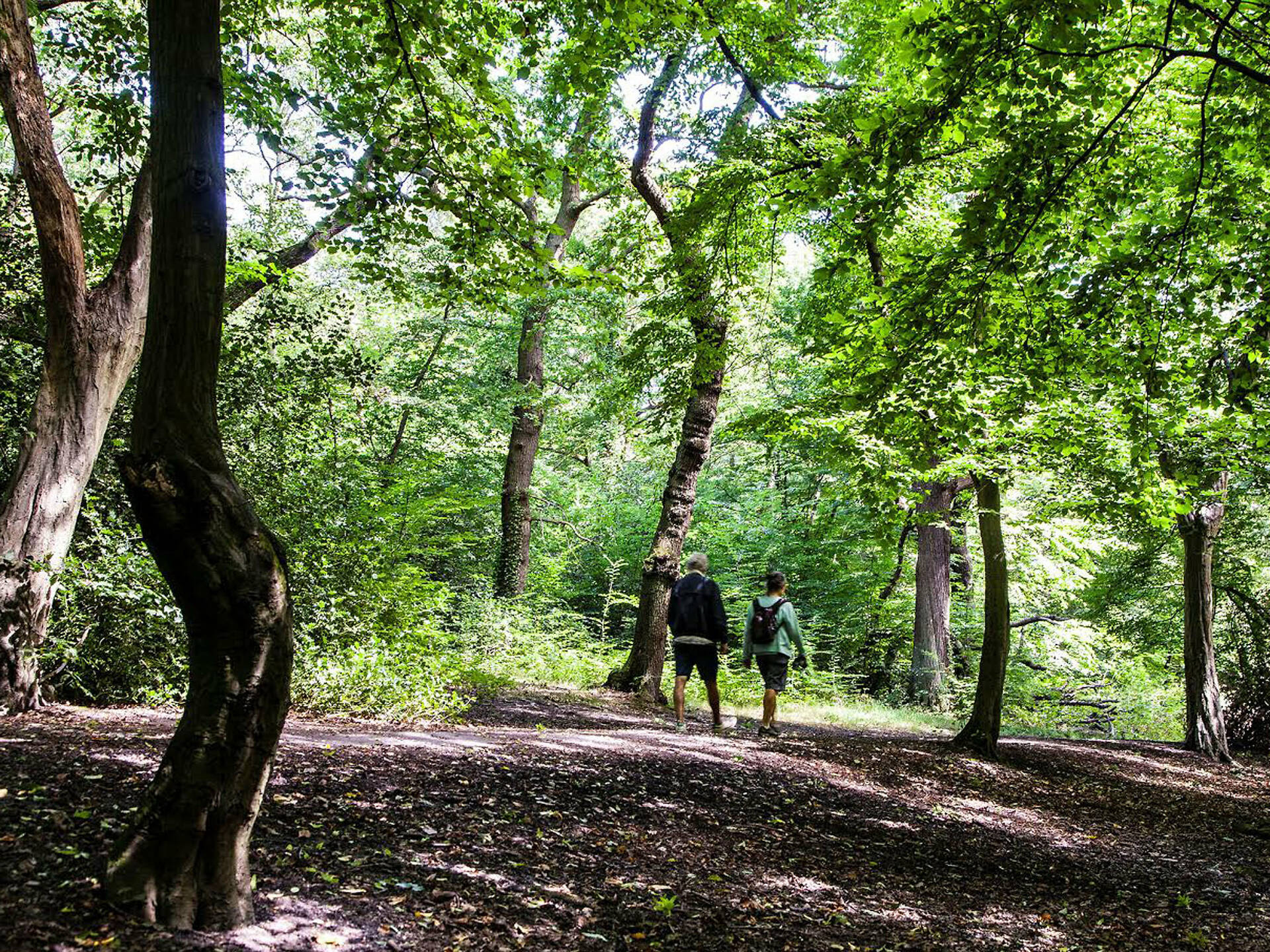 11 Places In London That Feel Like The Countryside | Rural London