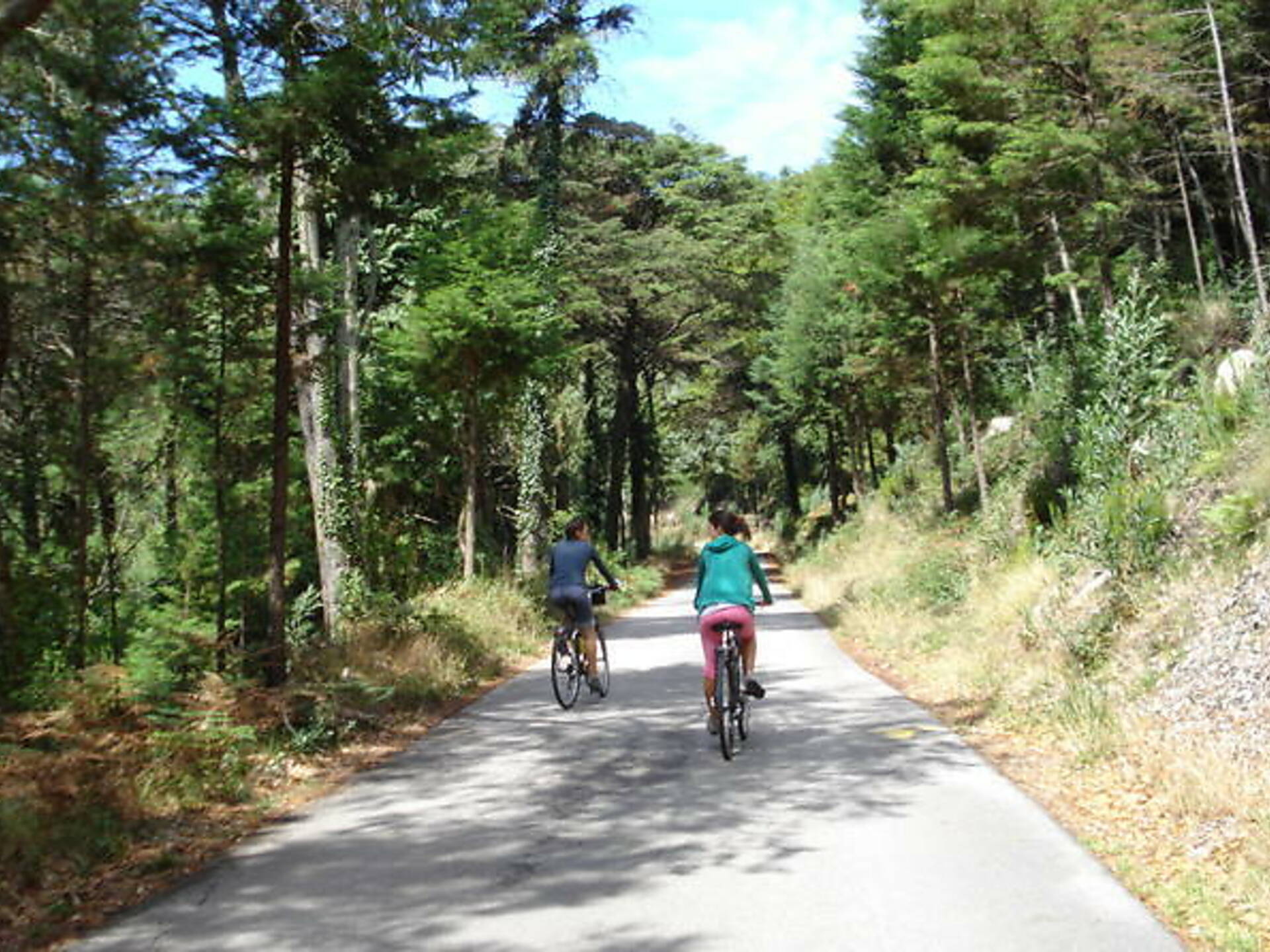8 Incredible Lisbon Bike Tours | Guided bicycle tours and routes around ...