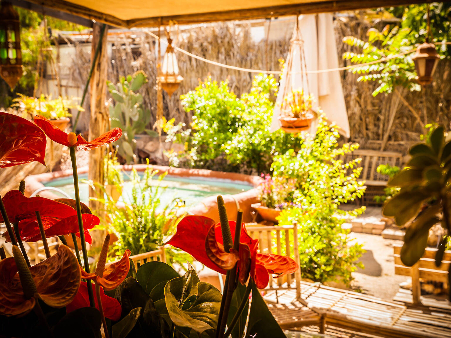 A tourist’s guide to Mitzpe Ramon - the Negev desert town