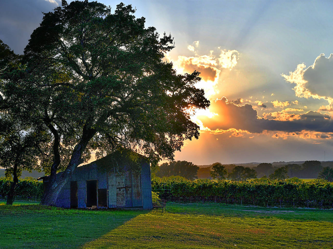 Alice, Texas 2026 | Ultimate Guide To Where To Go, Eat & Sleep in Alice ...