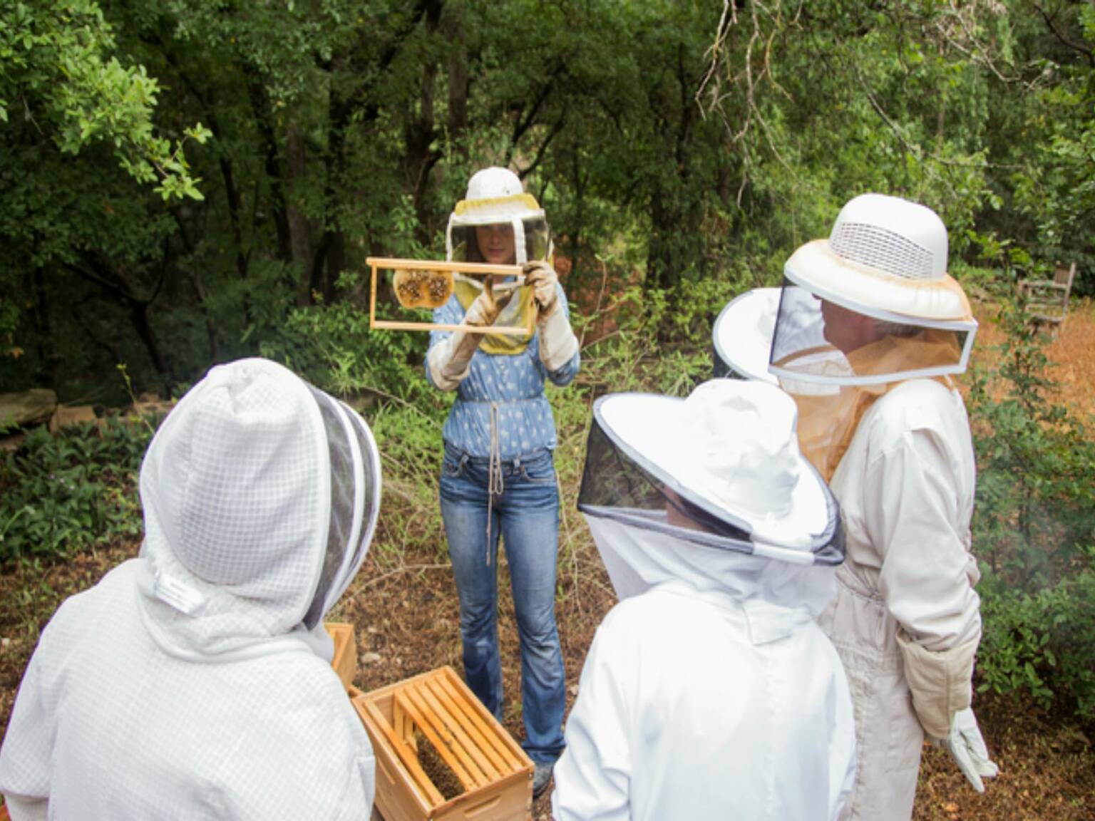 15 Best Austin Tours to take in 2018