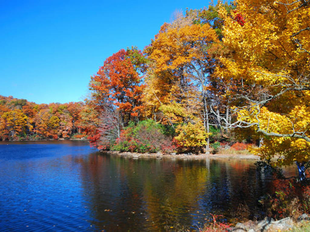 9 Fall Day Trips From NYC For Autumn Adventure