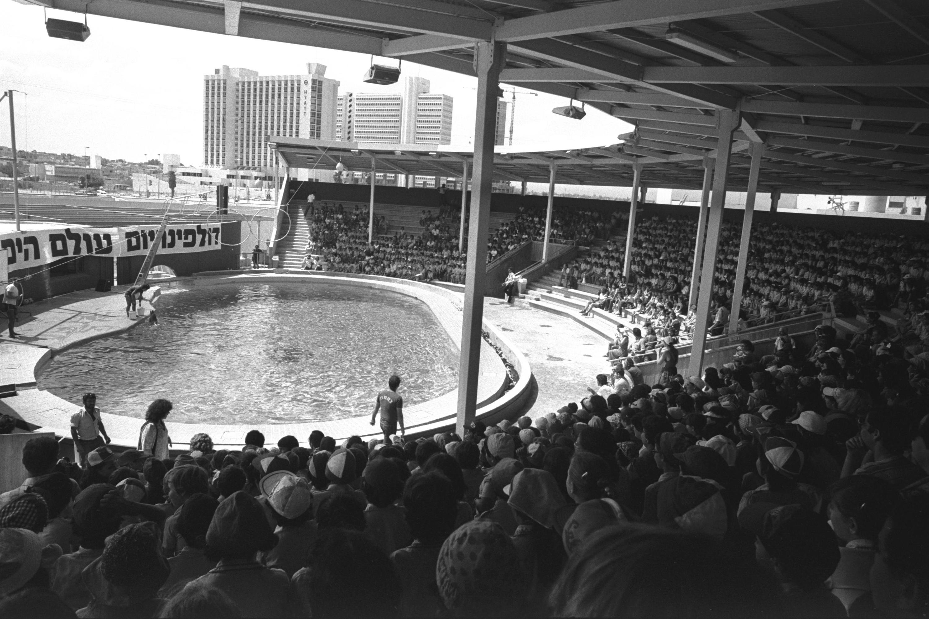 7 abandoned Tel Aviv buildings–from Allenby 58 to the Dolphinarium