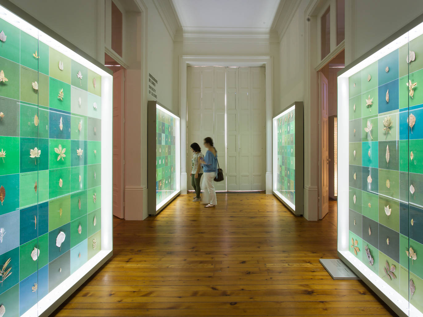 Ponha os seus limites à prova no Banzai, o novo espaço da Invicta