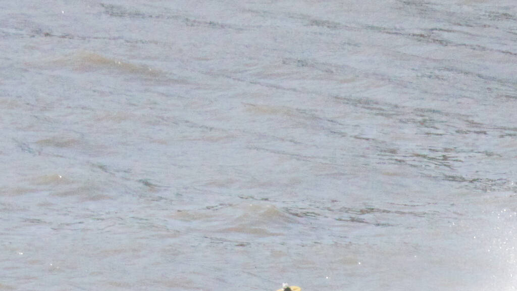 Thames RIB Experience | Attractions in Victoria Embankment, London