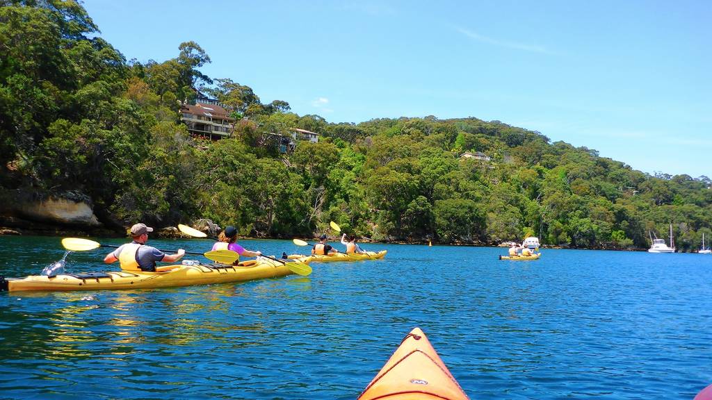 Sydney Harbour Kayaks | Sport and fitness in Mosman, Sydney