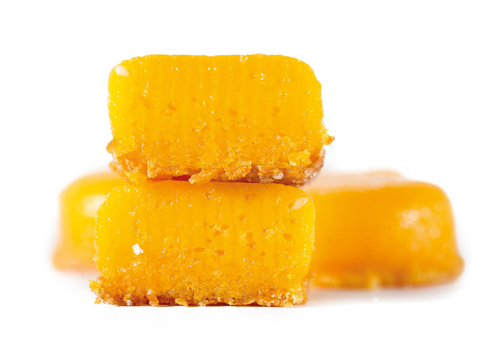 Estas são as garrafeiras que tem de conhecer no Porto