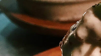 11 Spots for the Best Fried Chicken in Miami