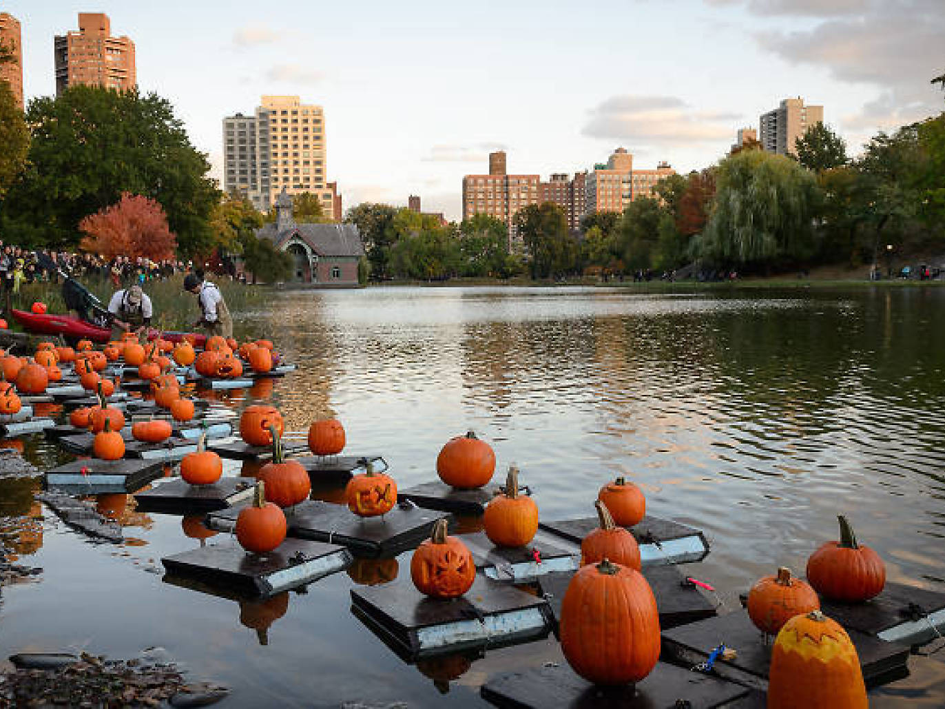 25 beautiful photos of fall in NYC