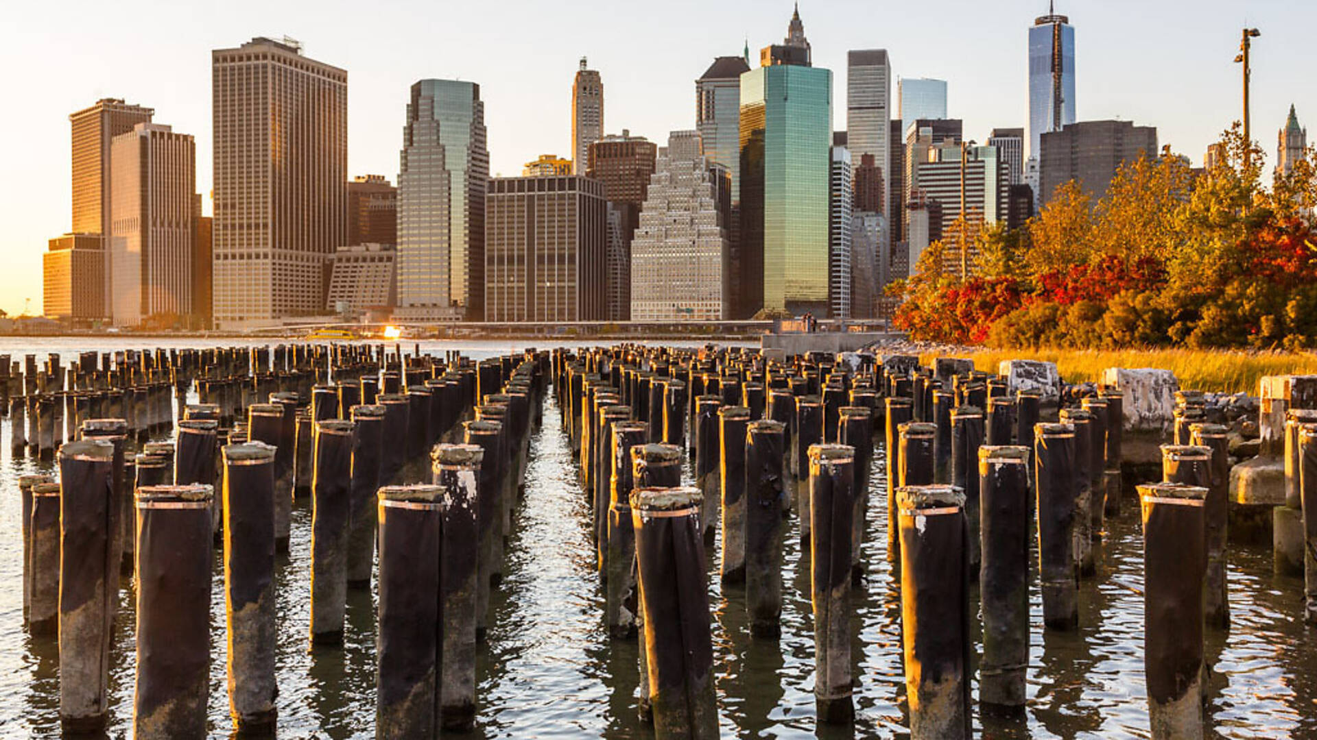 25 beautiful photos of fall in NYC