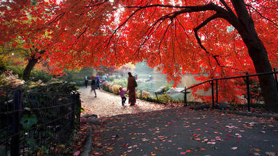 25 beautiful photos of fall in NYC