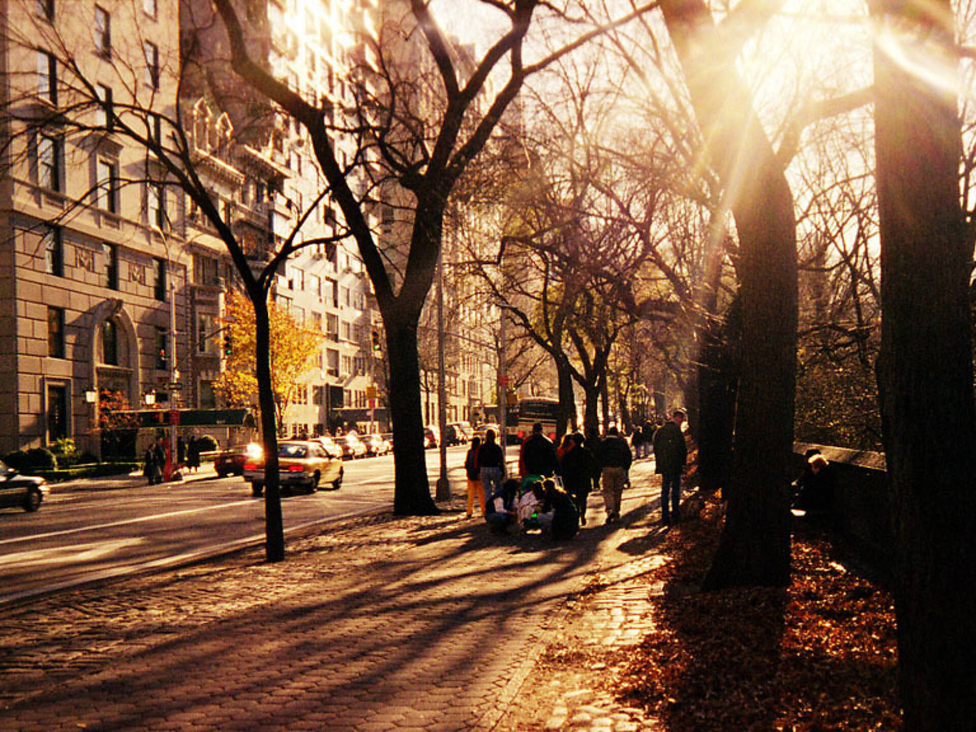 25 beautiful photos of fall in NYC