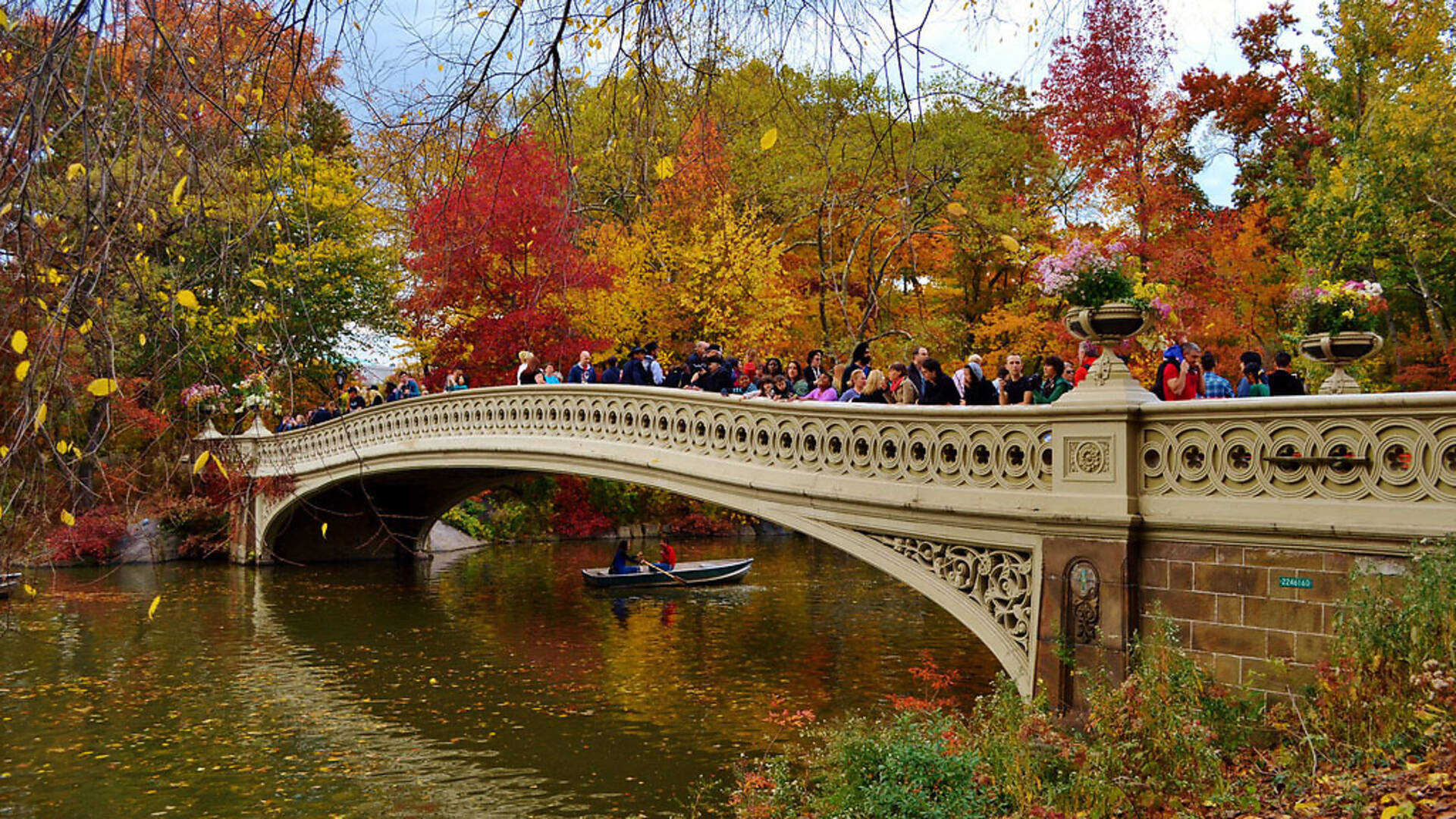 25 beautiful photos of fall in NYC
