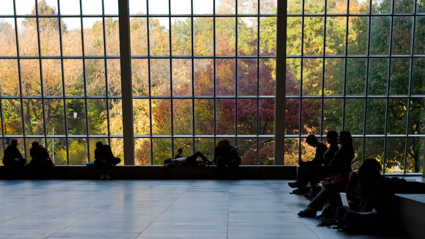 25 beautiful photos of fall in NYC