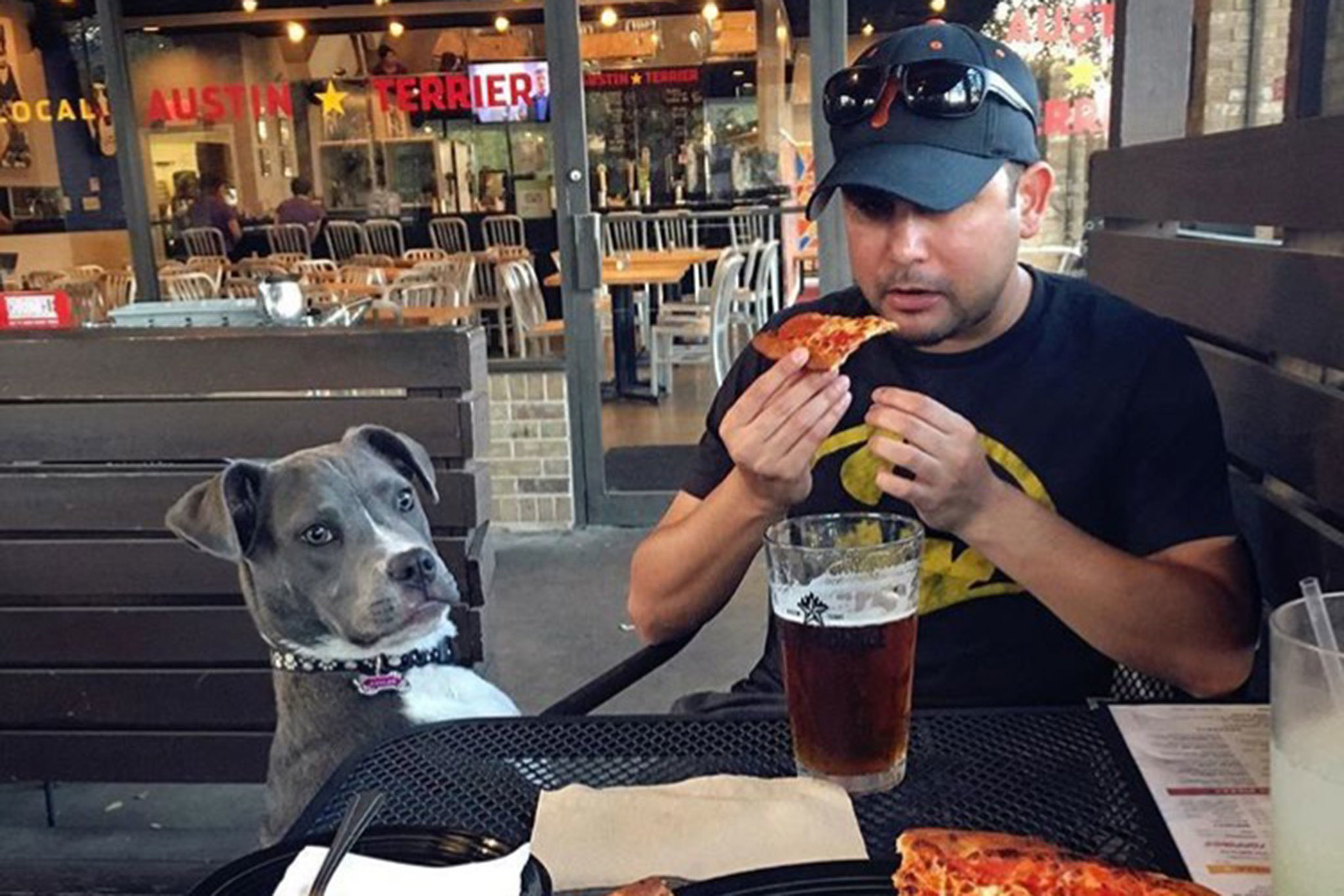 Austin Terrier | Restaurants in Northwest Hills, Austin