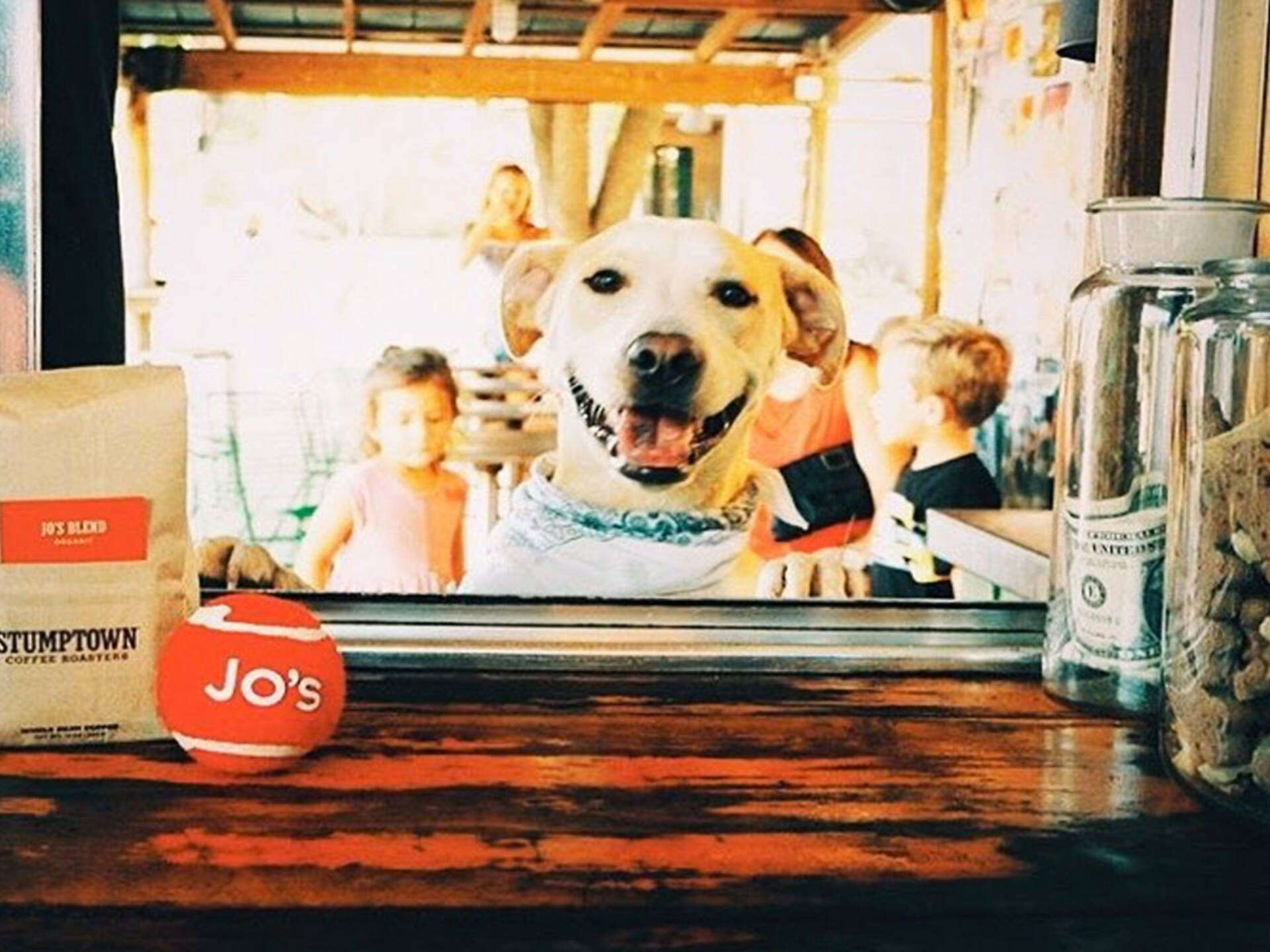 Best dog-friendly restaurants in Austin to take your pup on a date
